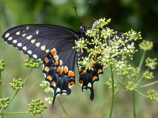 Welcome to Oklahoma's Official Web Site